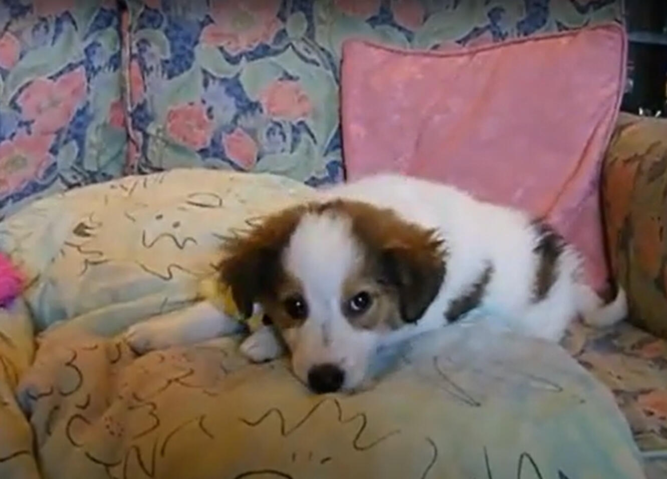 Melanie Harding - Nextdoor