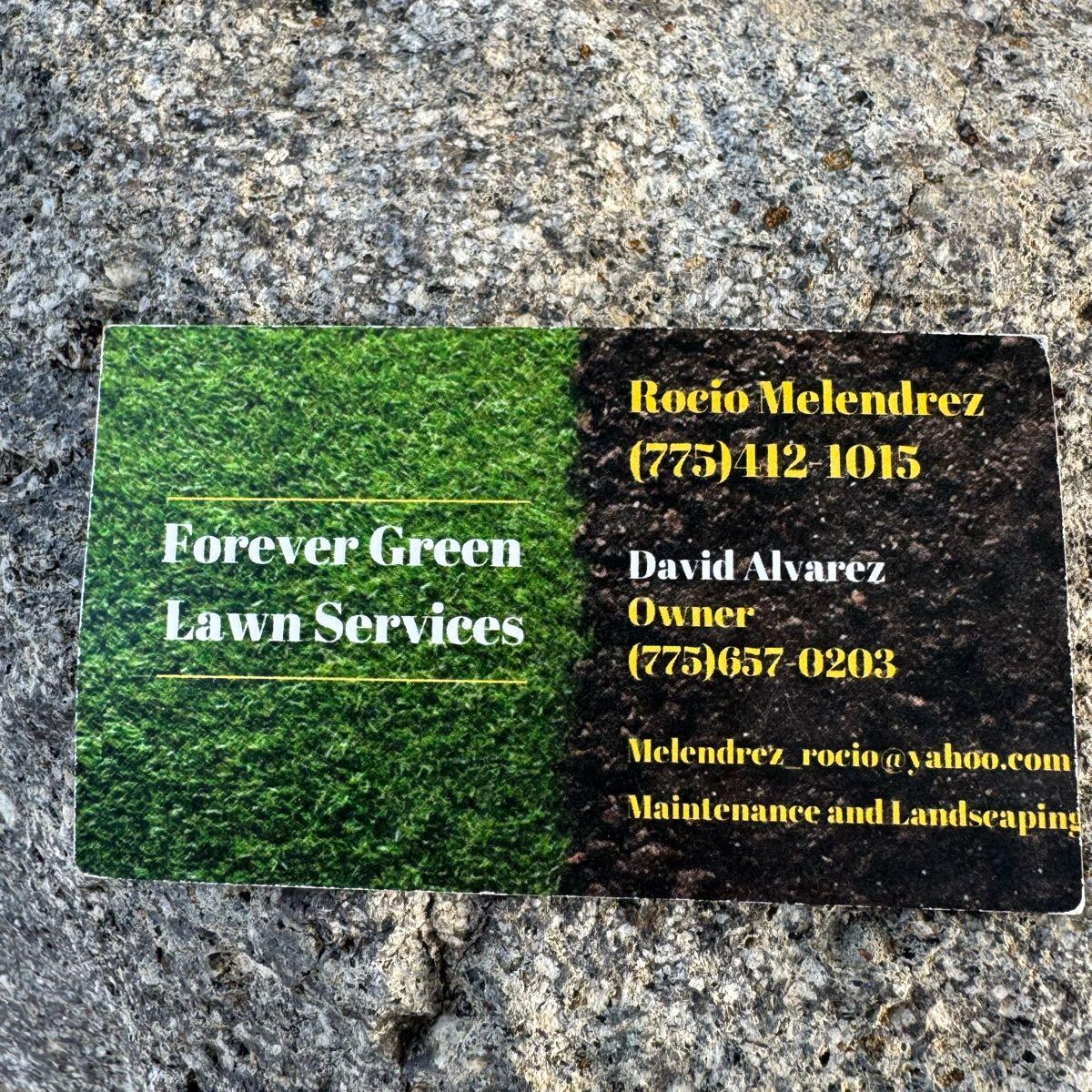 Forever green lawn service - Sun Valley, NV - Nextdoor