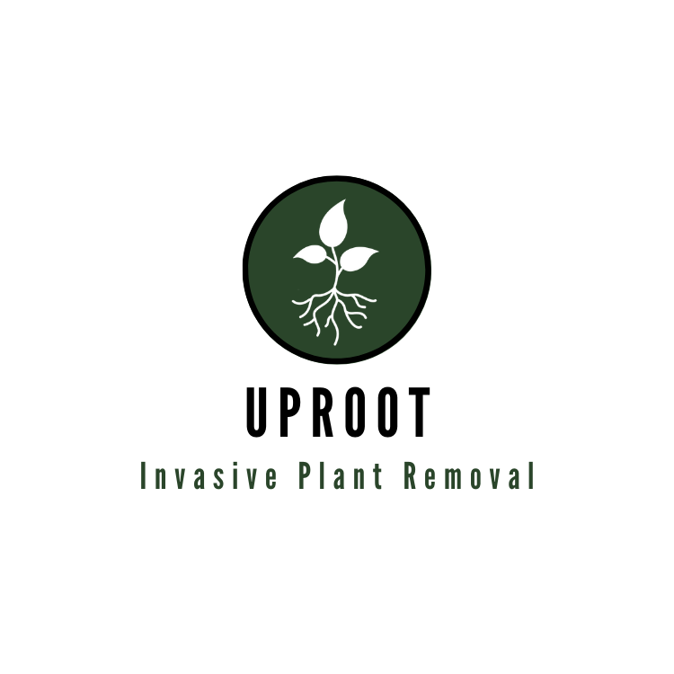 UpRoot Invasive Plant Removal - Nextdoor