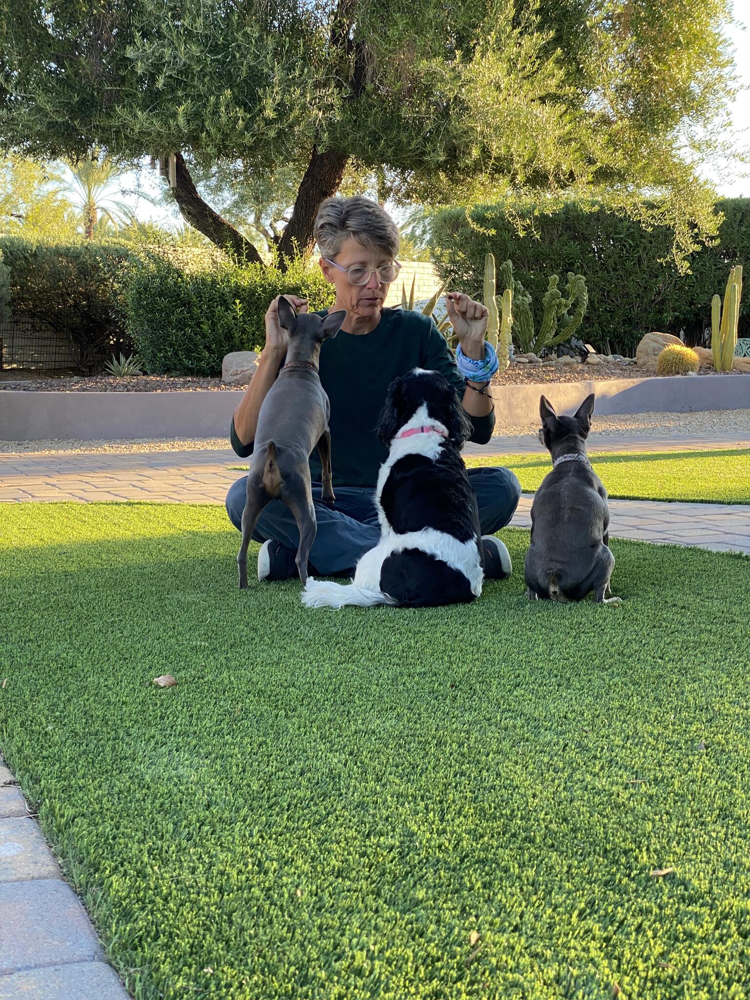 House To Barn Critter Sitters - Nextdoor