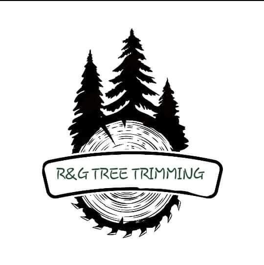 R&G Tree Trimming - The Colony, TX - Nextdoor