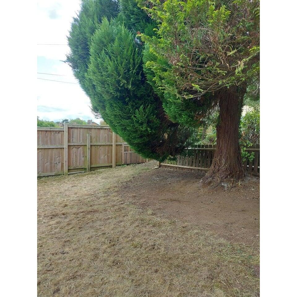 Val's Complete Gardening - Nextdoor