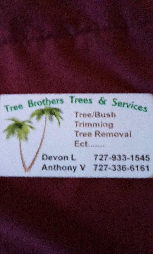 Tree Brothers trees and services - Nextdoor