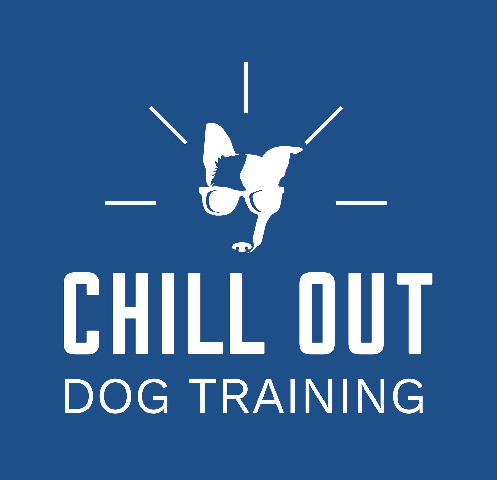Chill Out Dog Training - Denver, CO - Nextdoor