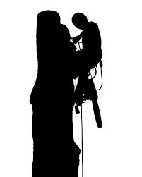 Treetopolis Tree Care - Folkestone, GB-ENG - Nextdoor