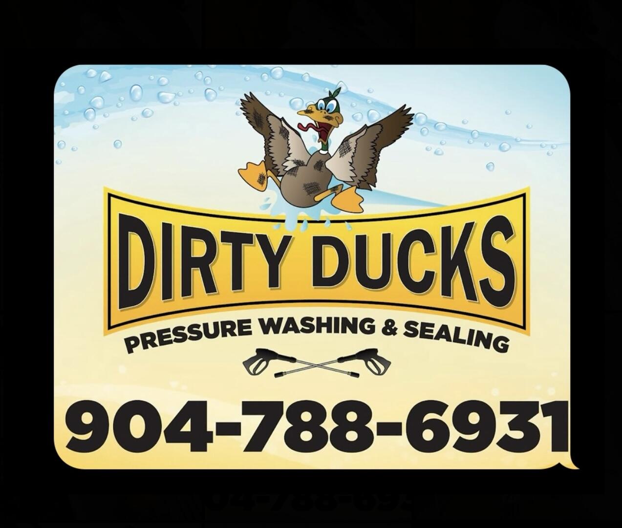 Dirty Ducks Pressure Washing & Sealing - Nextdoor