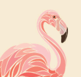 Chatty Flamingo - Amesbury - Nextdoor