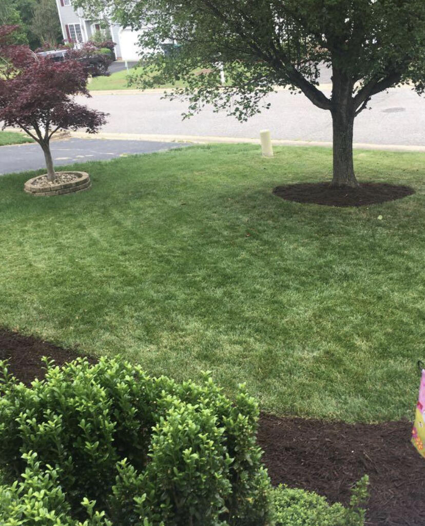 Andrew’s Landscaping - Midlothian, VA - Nextdoor