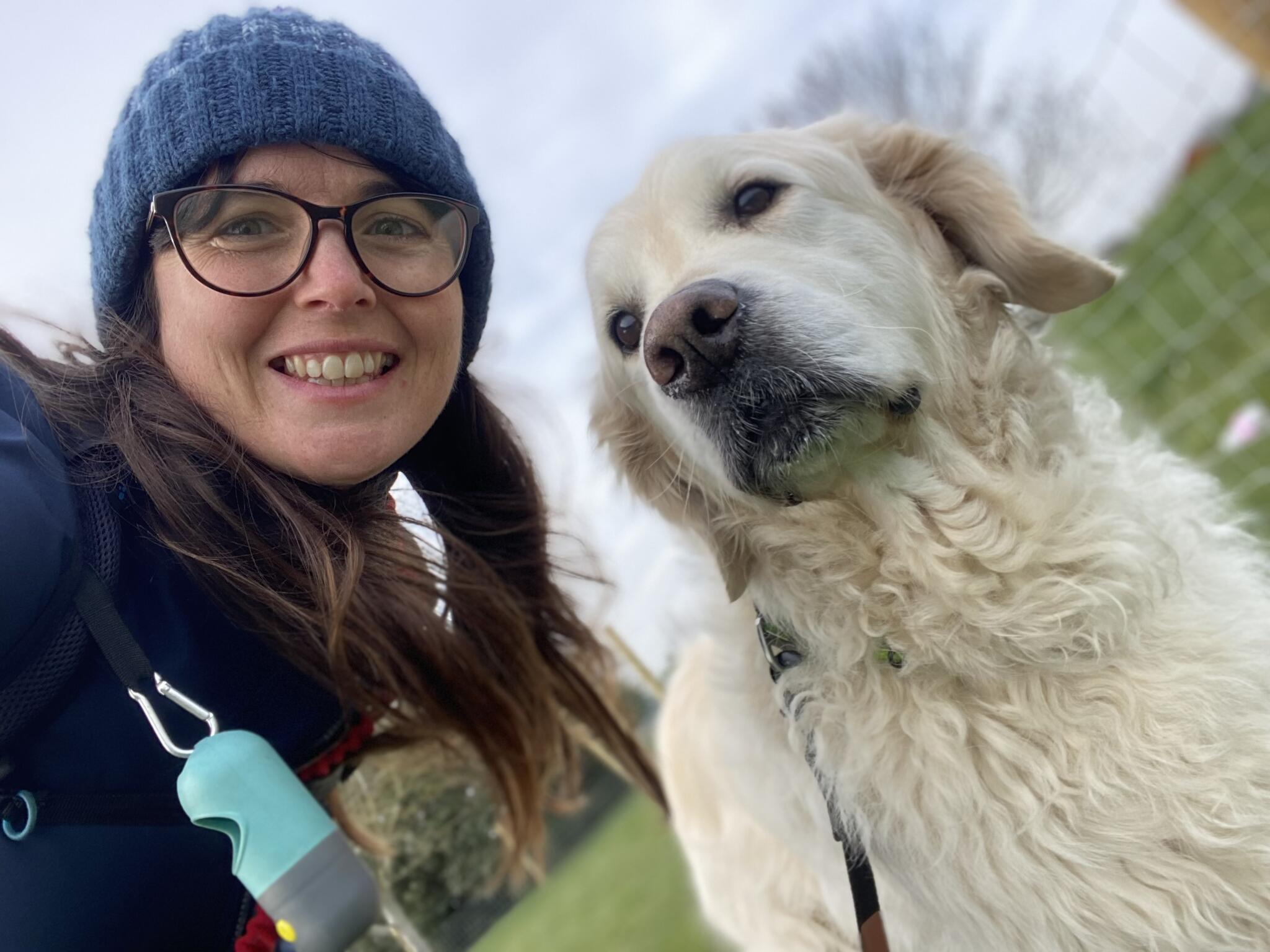 Poole Dog Walking - Poole, GB-ENG - Nextdoor