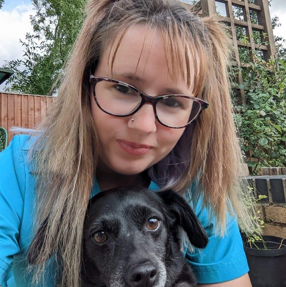 Norwich Mobile Vet Nurse - Norwich - Nextdoor