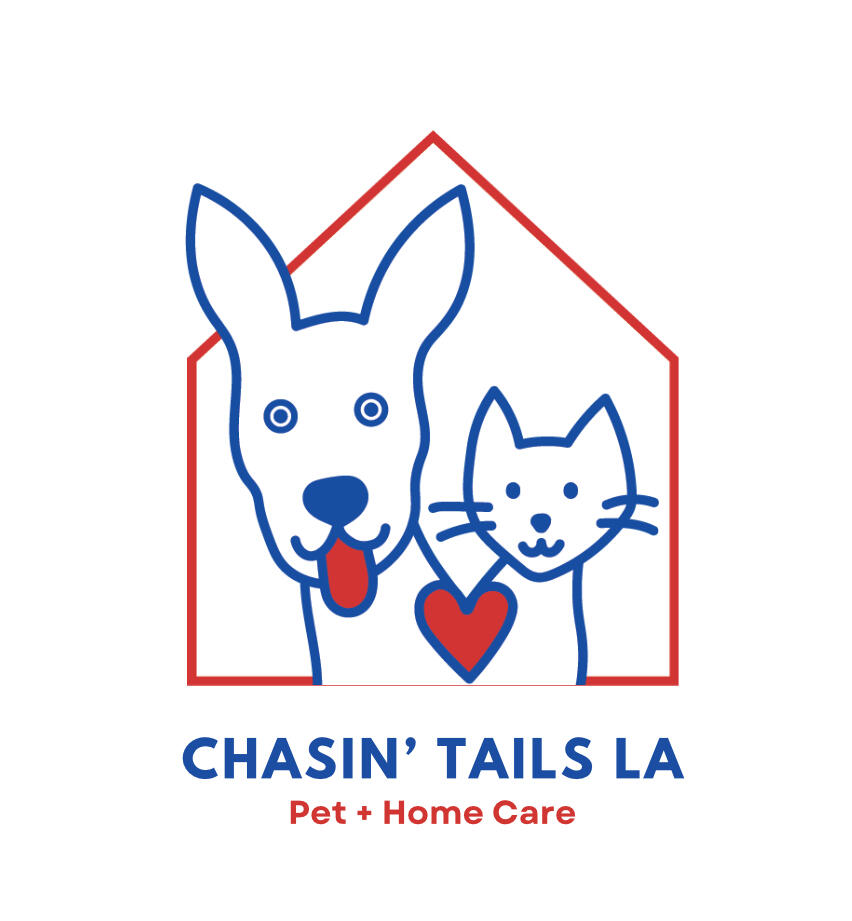 Chasin Tails Logo Chasin Tail" White Hoodie – Deep Water Co
