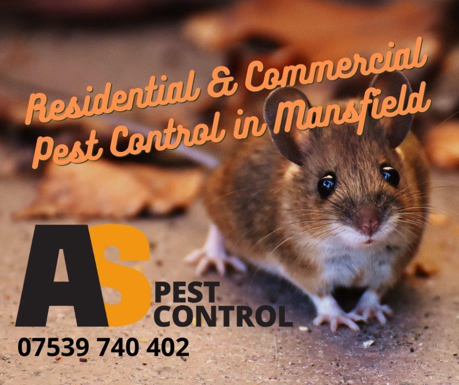 A S Pest Control Solutions - Nextdoor