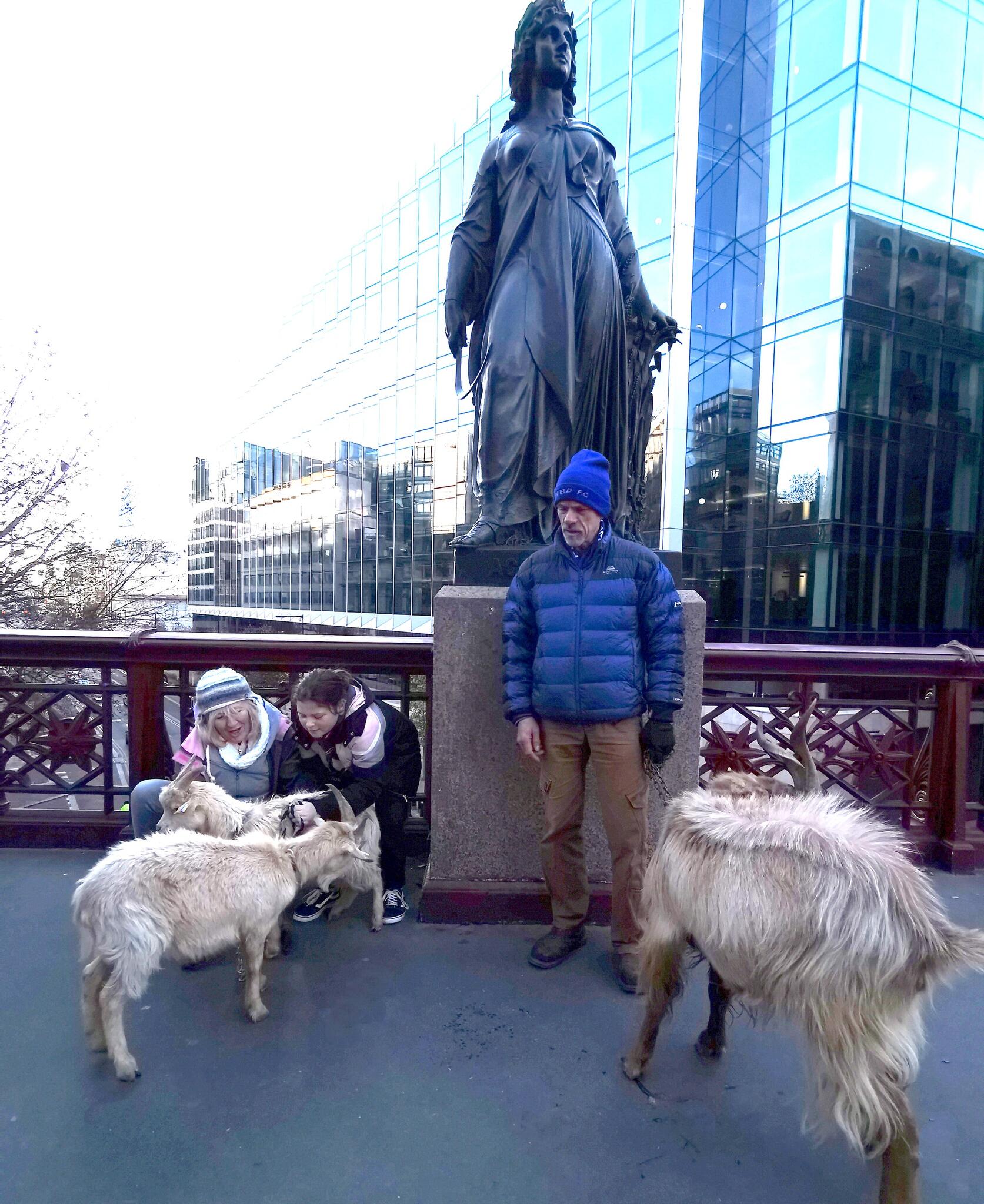 Goat Force - London Borough of Enfield, GB-ENG - Nextdoor