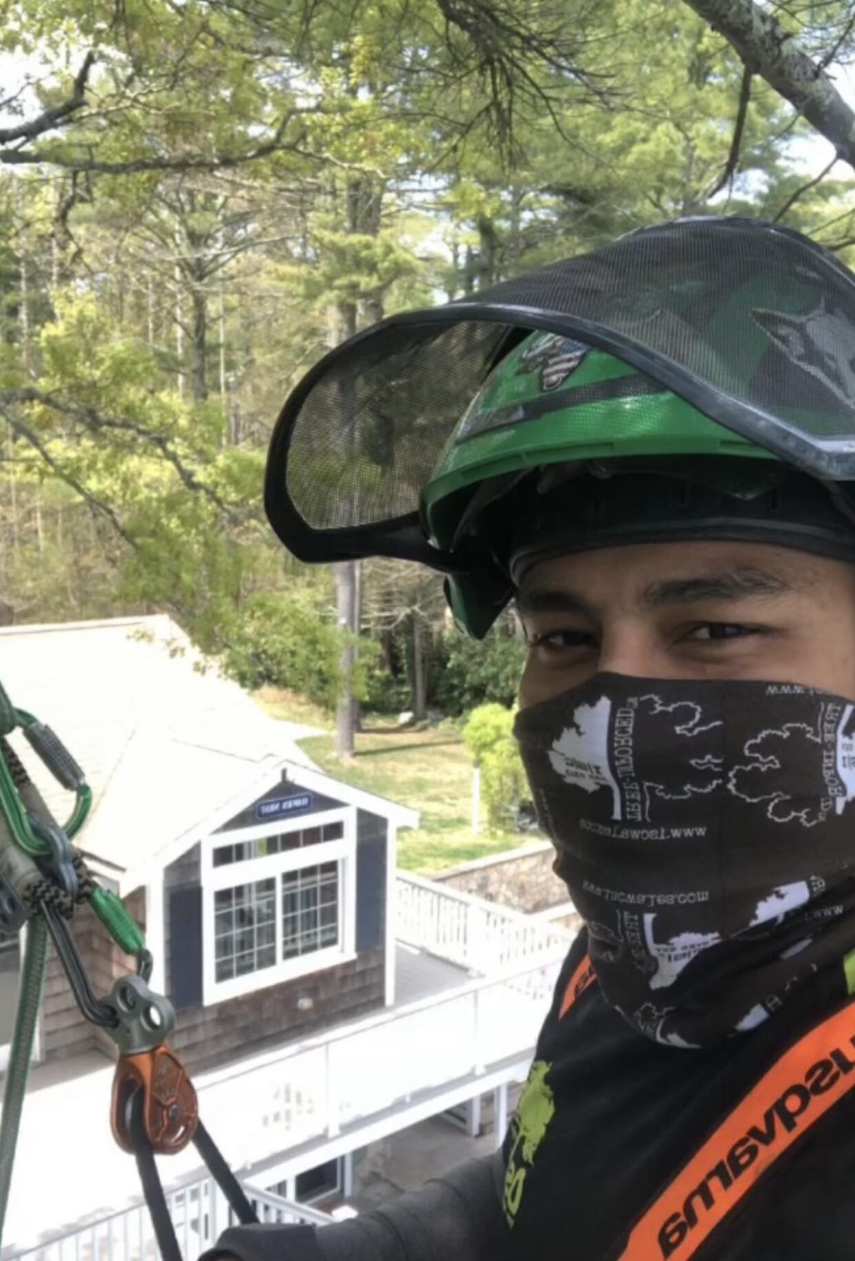 KM Tree Service - Nextdoor