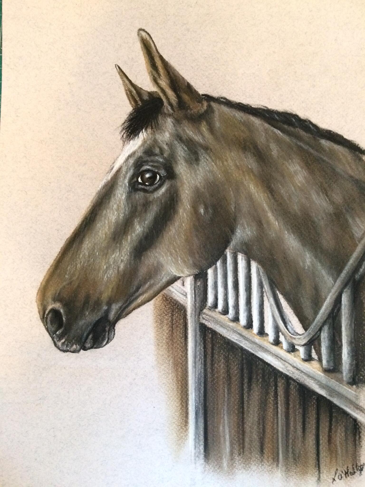 The Art Of Lisa O’Malley - Nextdoor