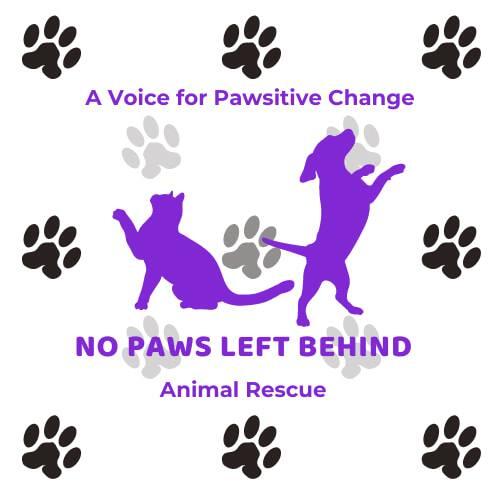 No Paws Left Behind Animal Rescue - Nextdoor