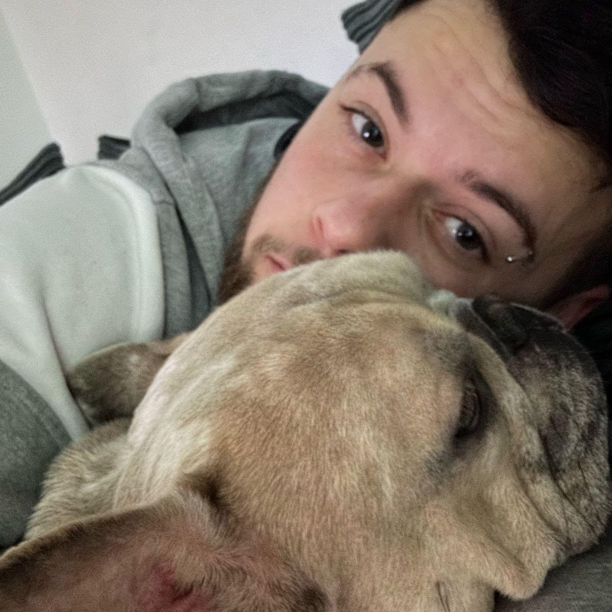 Braxton’s Beloved Dog Walking & Drop in Service - Northampton, GB-ENG ...