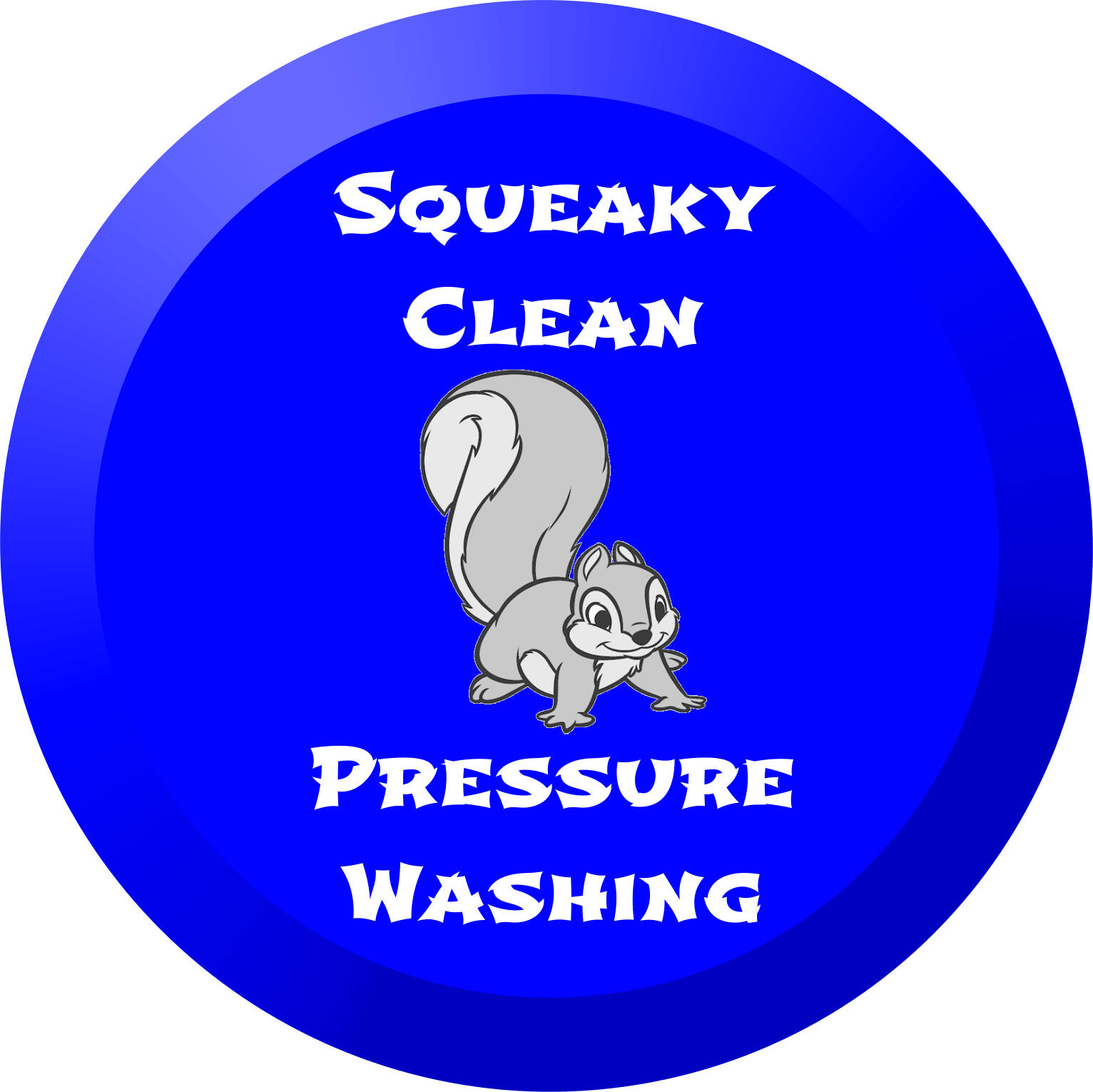 Squeaky Clean Pressure Washing - Suwanee, GA - Nextdoor