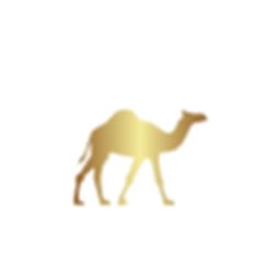 Camel Recruitment - Nextdoor