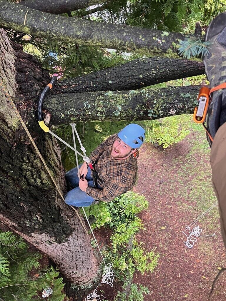 Mac's Landscapes - Kirkland, WA - Nextdoor