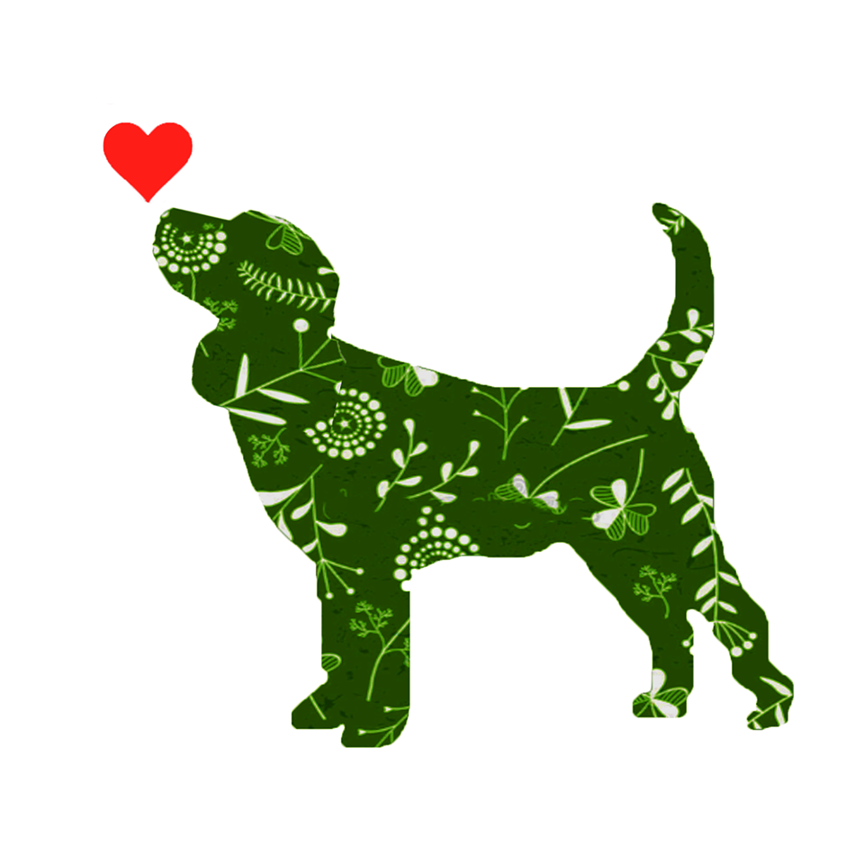 tamara-tokash-my-dog-thrives-nextdoor