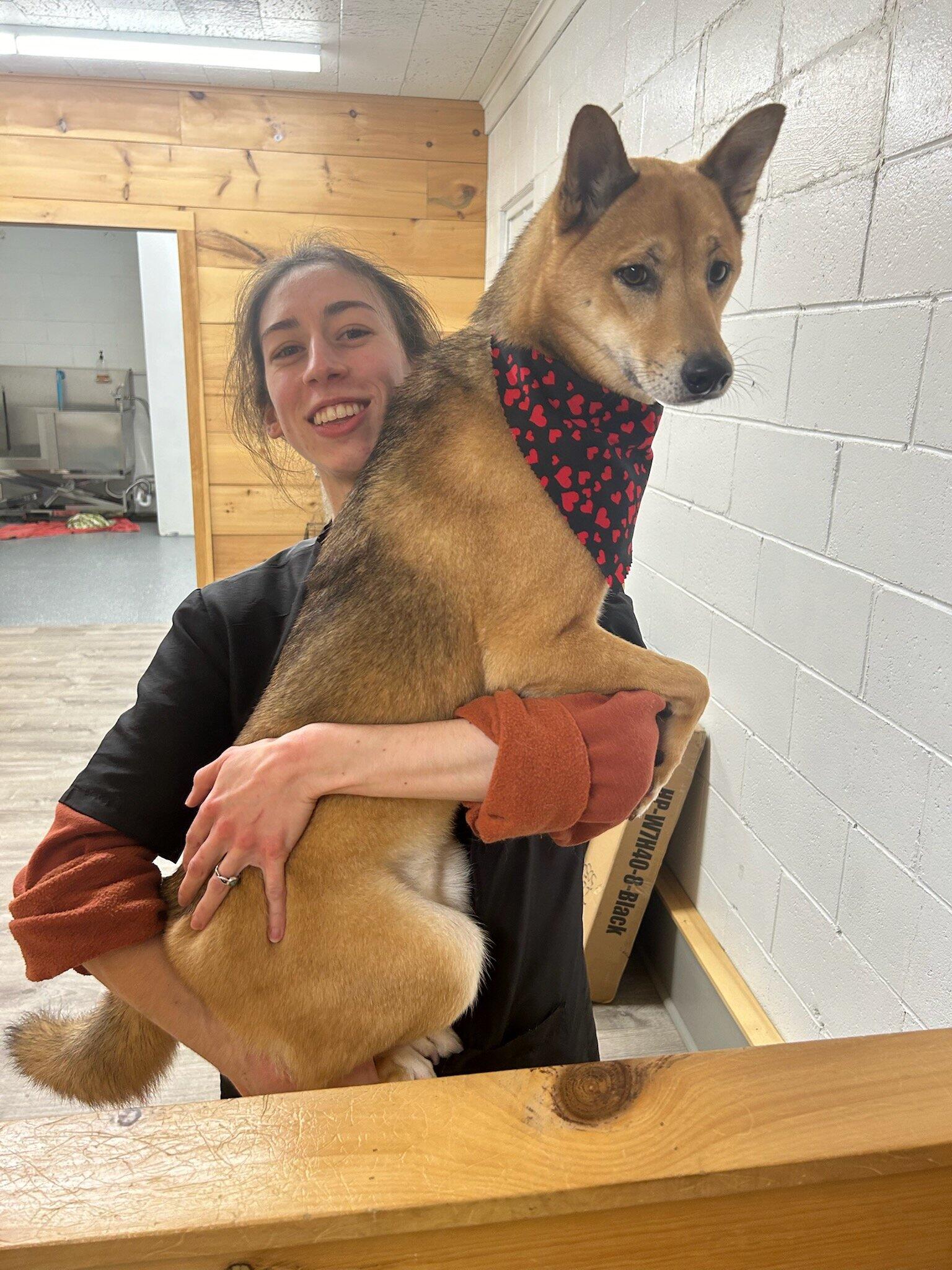 The Gentle Groomer LLC - Darien, WI - Nextdoor