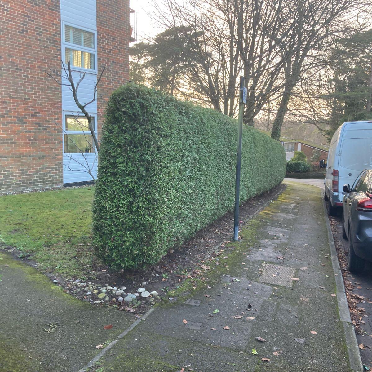 Friends and Family Plus. - Nextdoor