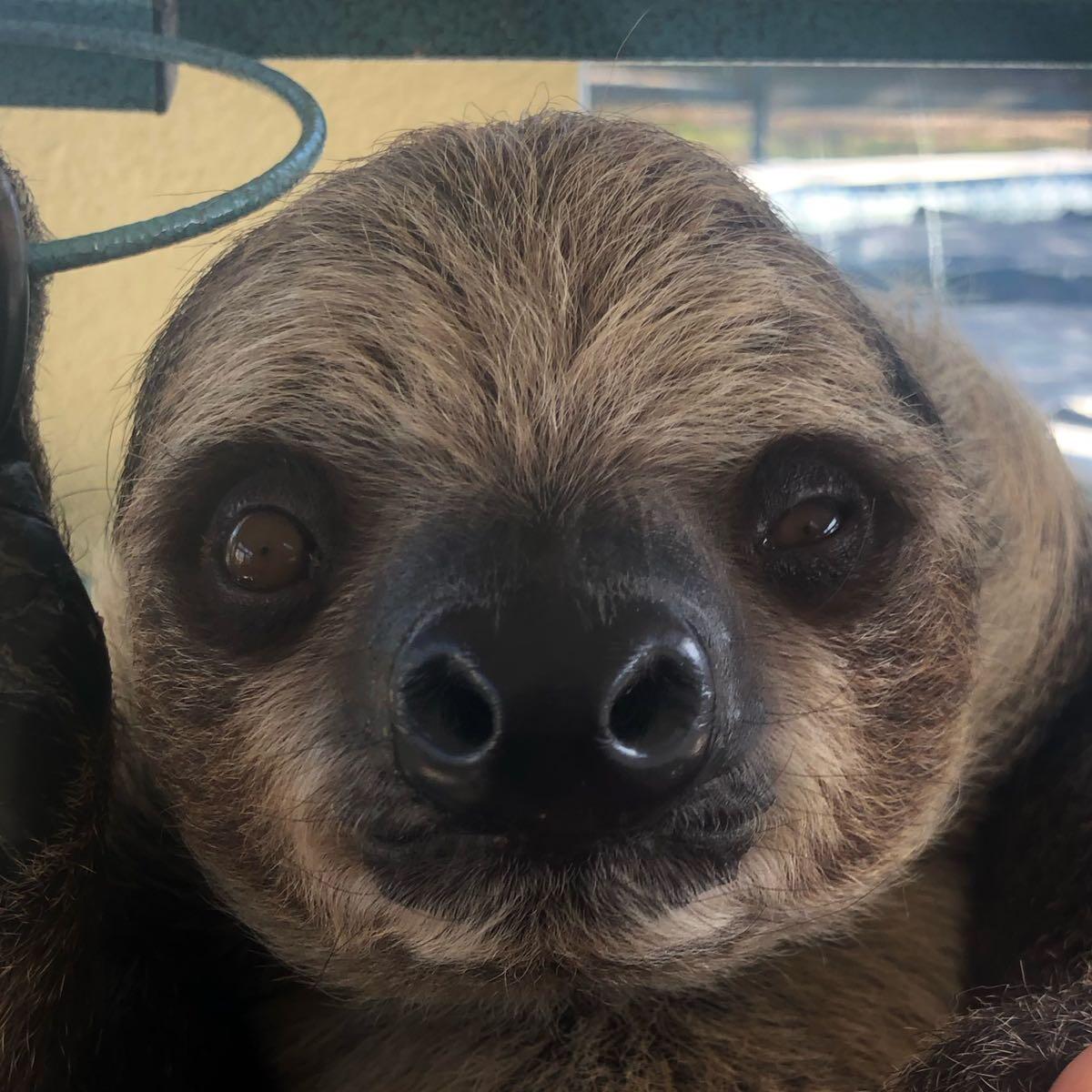 Exotic Animal Encounters - Chesapeake, VA - Nextdoor