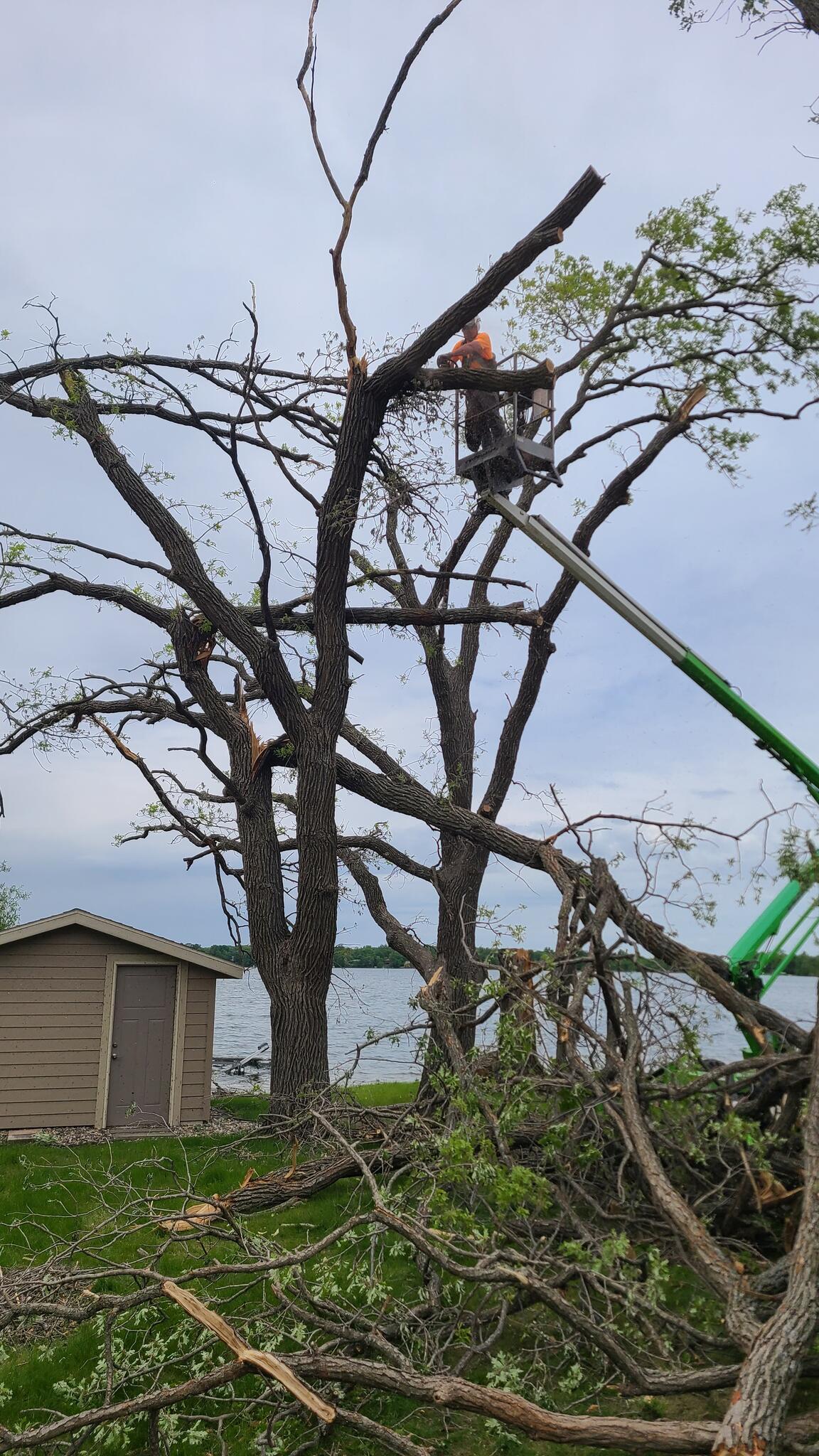 Jason The Tree Guy - Nextdoor