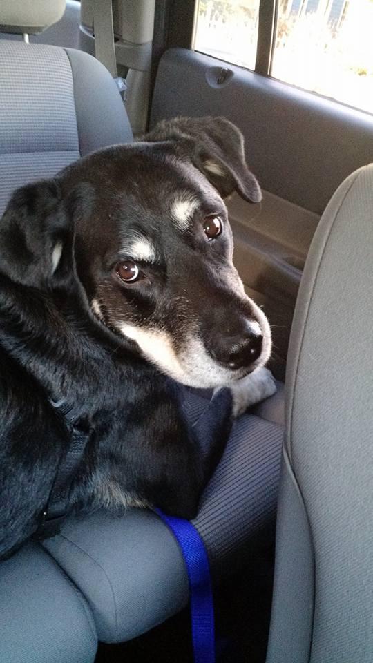 Daniel Zukowski - Colonie, NY - Nextdoor