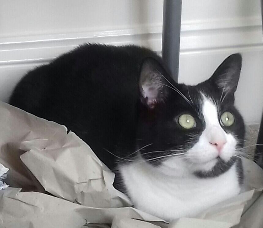 Alison Wilson - Exeter, GB-ENG - Nextdoor