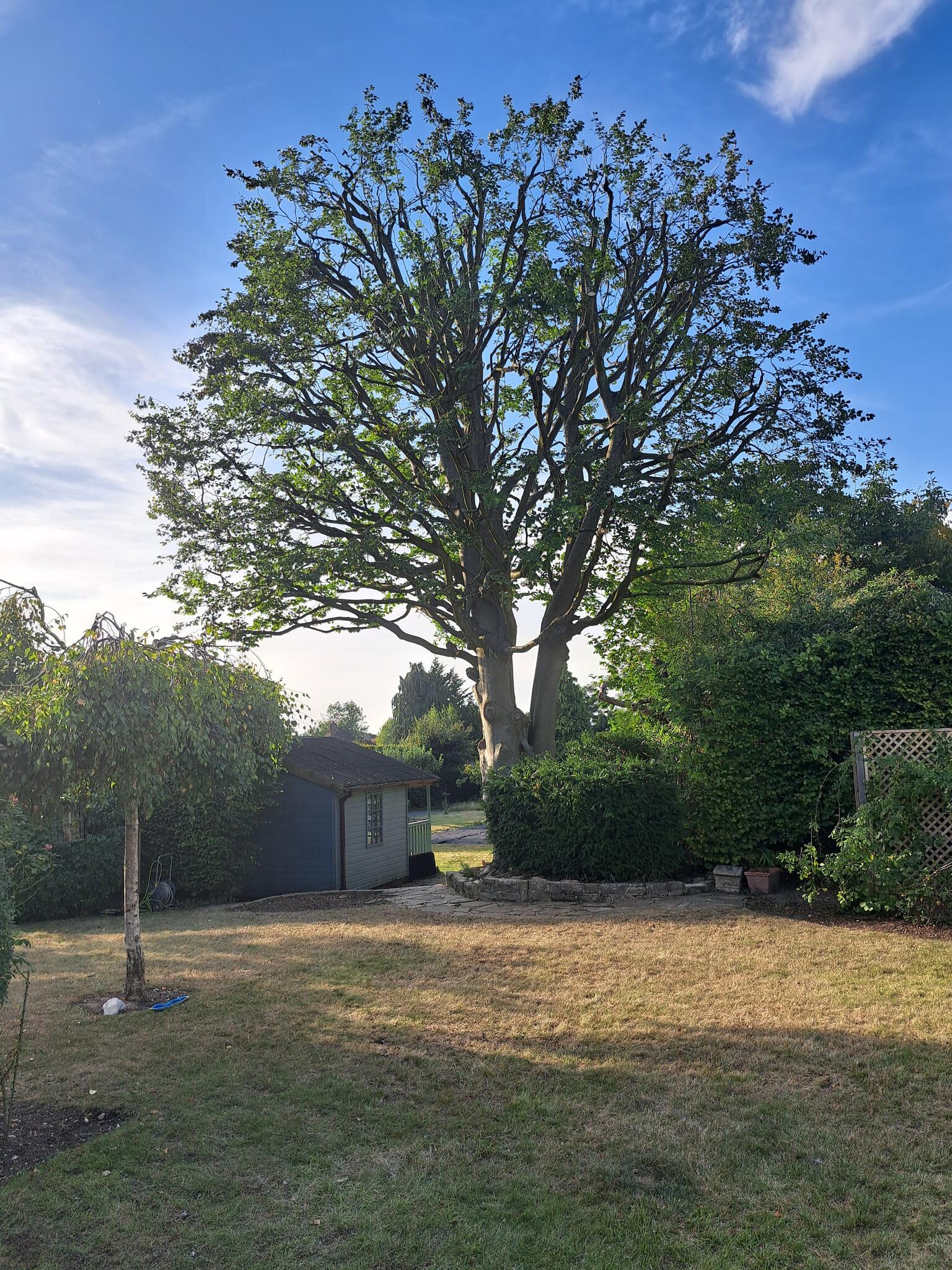 Pro Arb Tree Care - Woking - Nextdoor