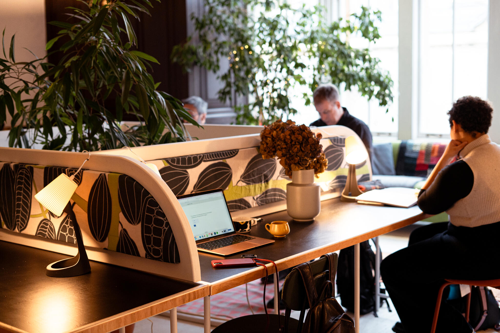 House of Toad CIC - Glasgow, Scotland - Nextdoor