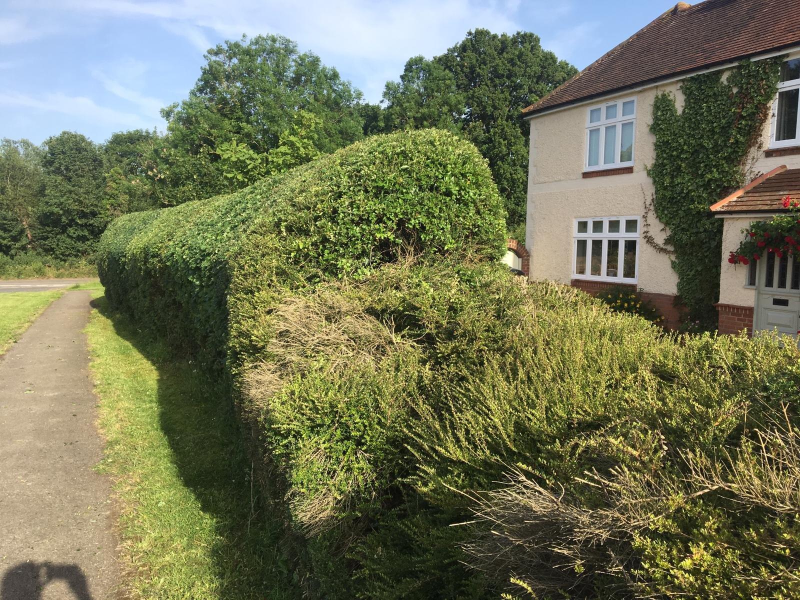 JH GARDEN MAINTENANCE - Gerrards Cross - Nextdoor
