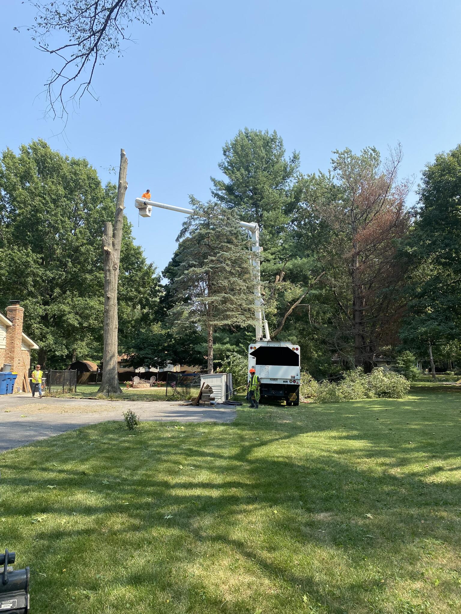 Angel's Tree Removal - Nextdoor