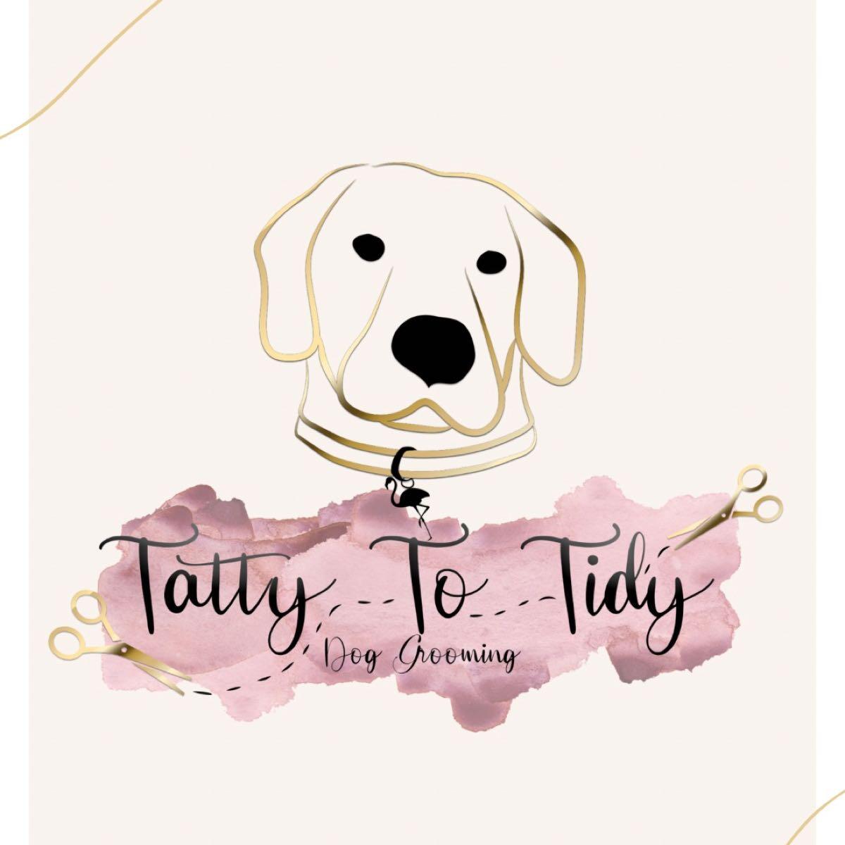 Tatty to Tidy Dog Grooming - London - Nextdoor