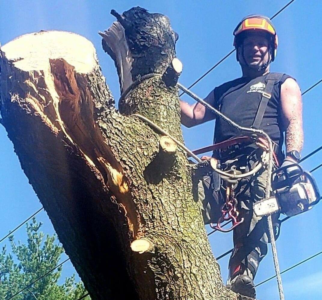 Davie Florida Tree Service - Davie, FL - Nextdoor