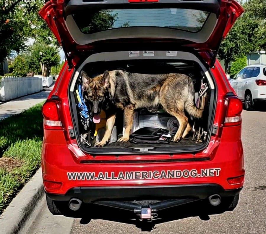 All American Dog Training Academy - Nextdoor