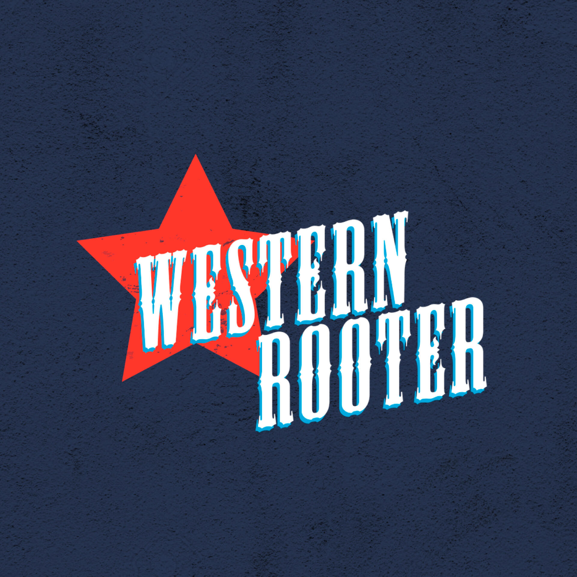 Western Rooter & Plumbing - Arcadia, CA - Nextdoor