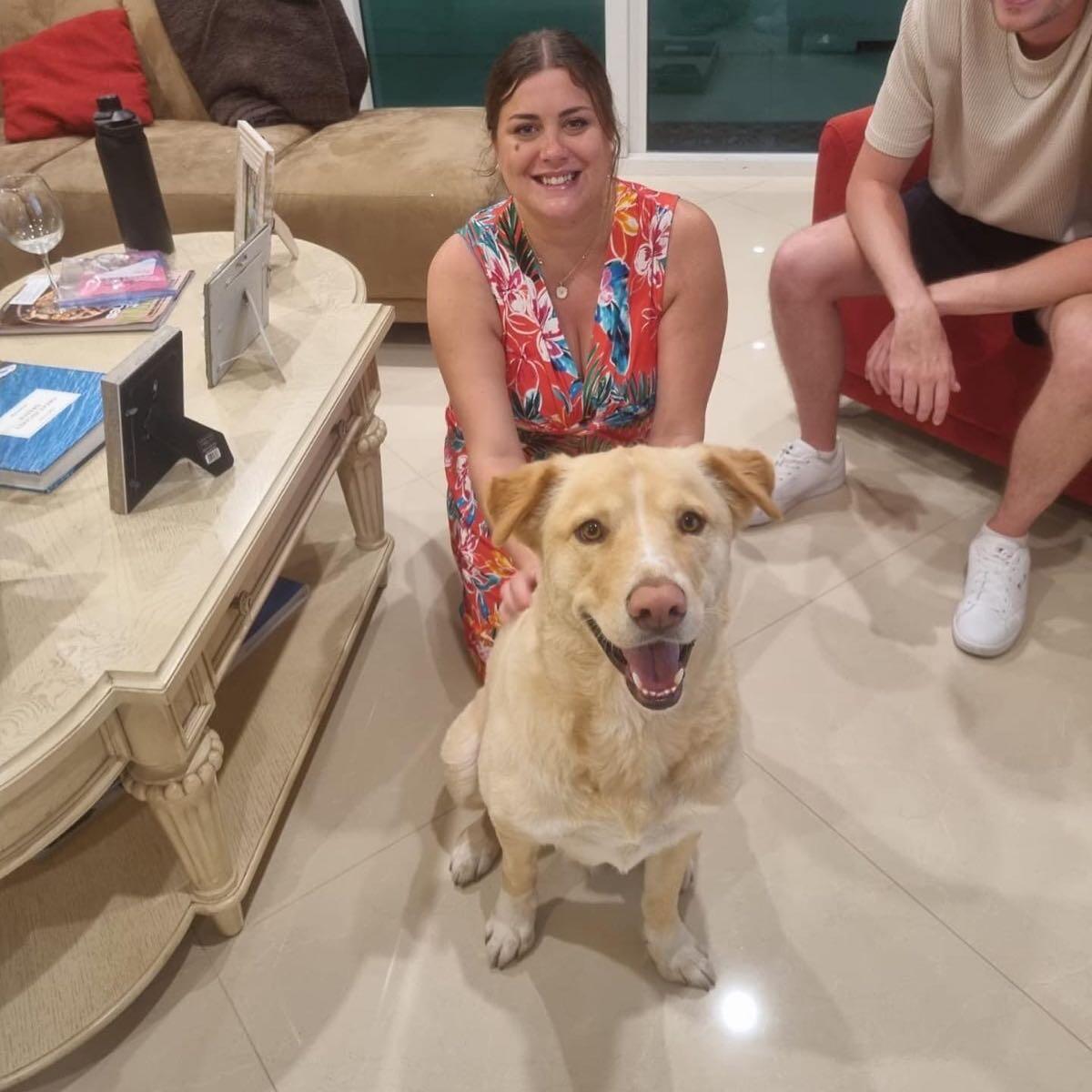 Sarah’s Animal Services - Nextdoor