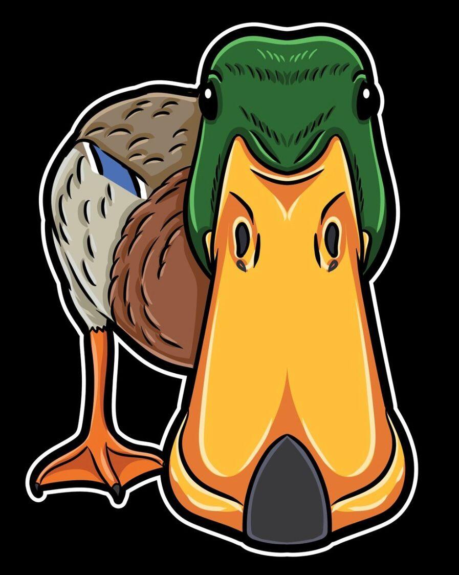 Quackers Cafe - Woking, GB-ENG - Nextdoor