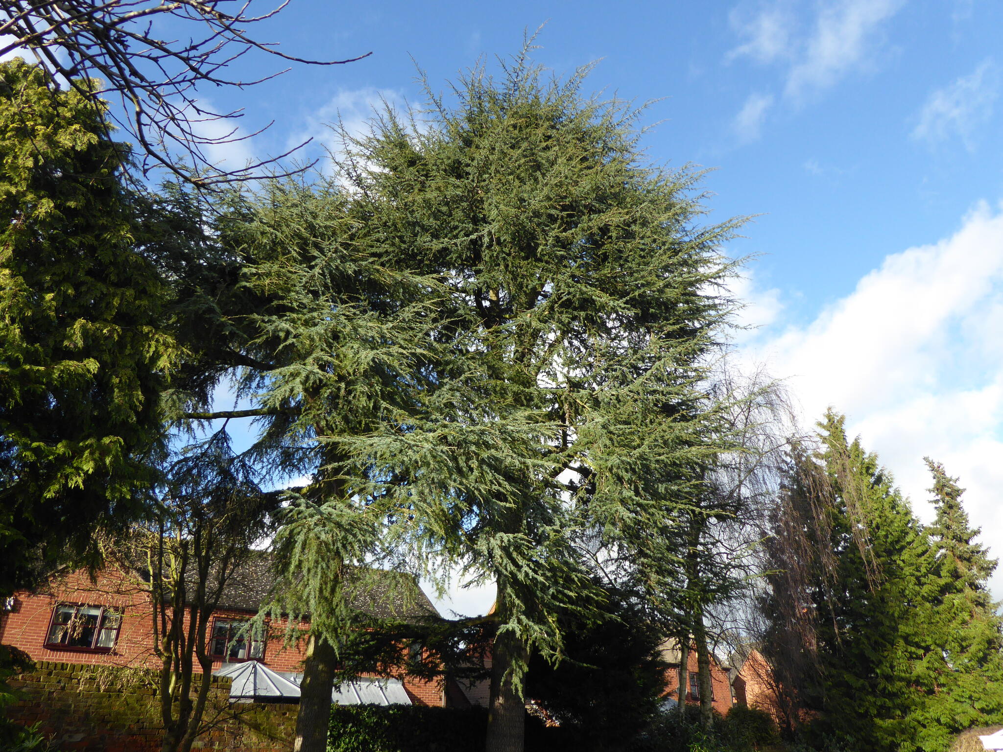 Midland Landscapes & Tree Care Ltd - Burton-on-Trent, England - Nextdoor