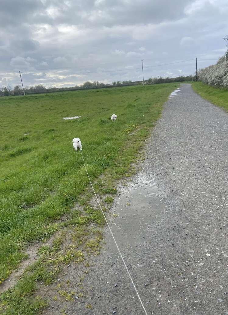 neighbourhood services - Nextdoor