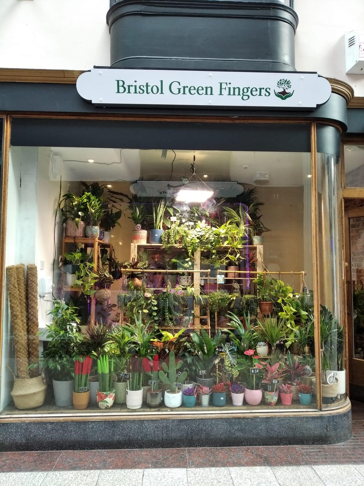 Bristol Green fingers - Bristol, GB-ENG - Nextdoor