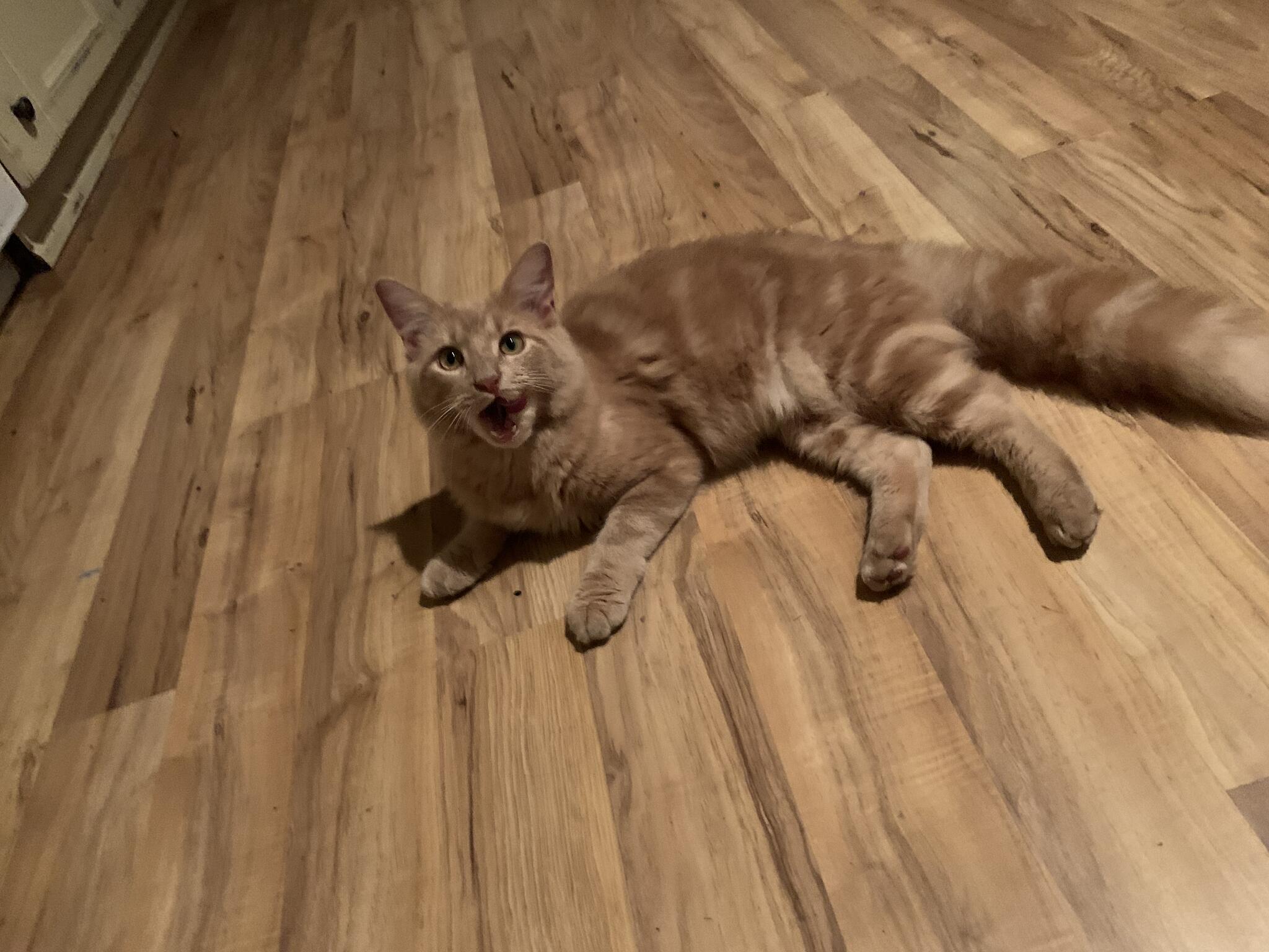 ProJect Constuction - Mandeville, LA - Nextdoor