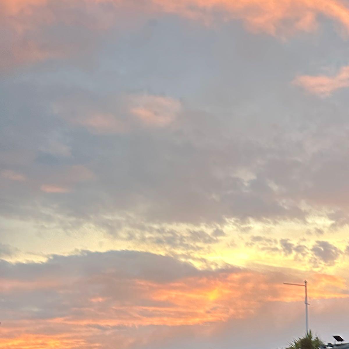 ZebrA Braids - London - Nextdoor