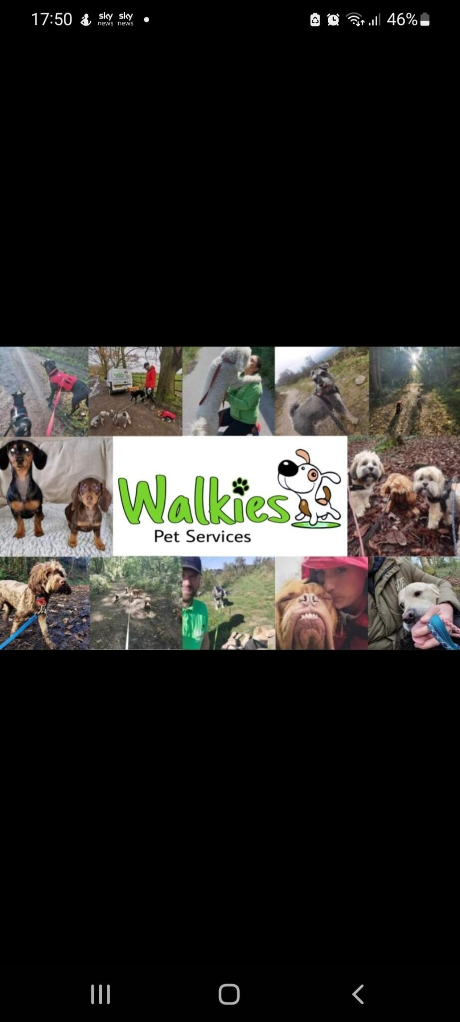 walkies dog walking services - Nextdoor