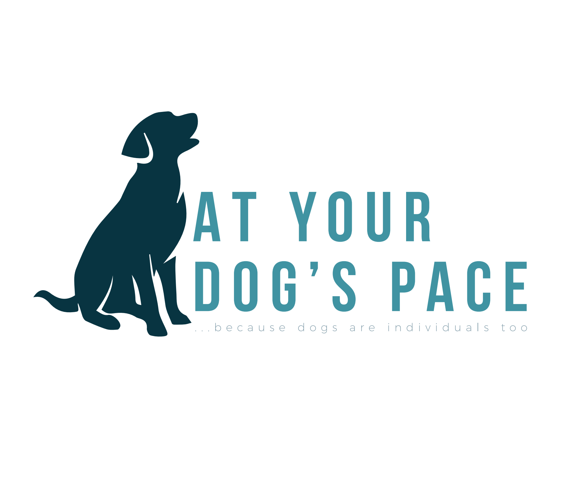 At Your Dog's Pace - Chorley - Nextdoor