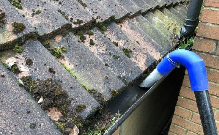 THE GUTTER CLEANER - Nextdoor