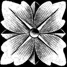 DesignCo - Des Moines, IA - Nextdoor